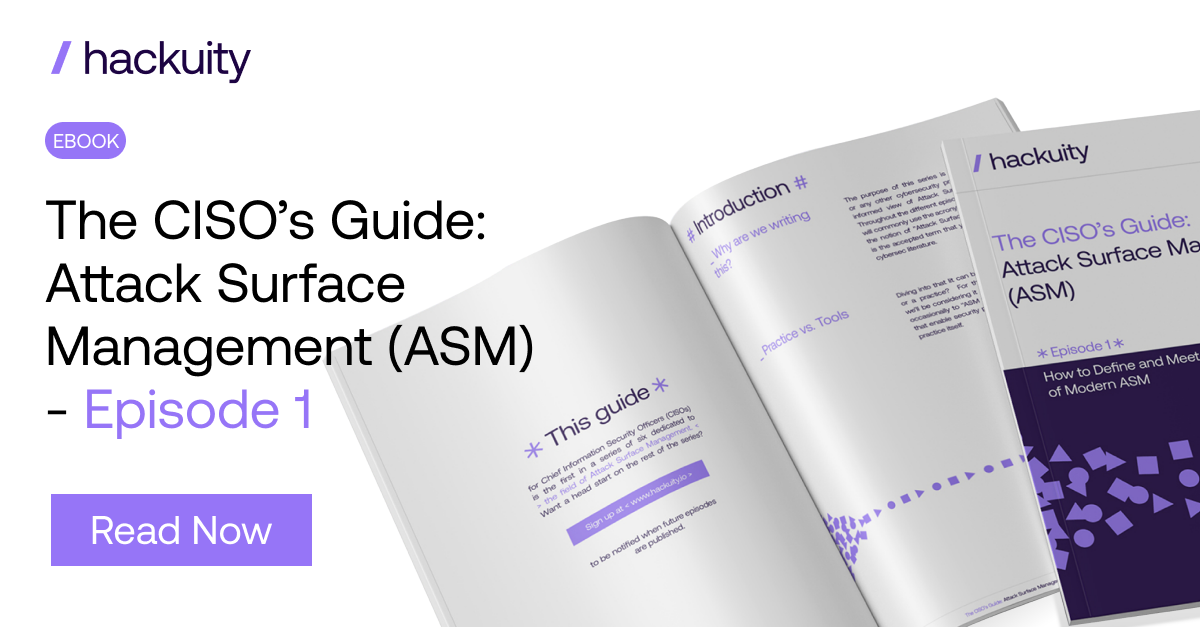 Guide - The CISO’s Guide: Attack Surface Management (ASM), Episode 1 ...